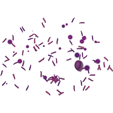 Unusual Lovable Confetti Taunt: The Killer Signature