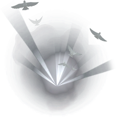 Unusual Delightful Doves Ludicrously Lunatic Lunon Fedora