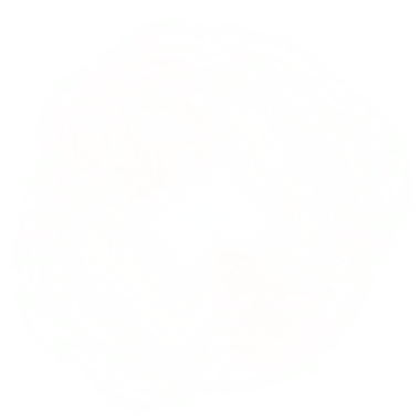 Unusual Calm Snowfall Calamitous Cauldron