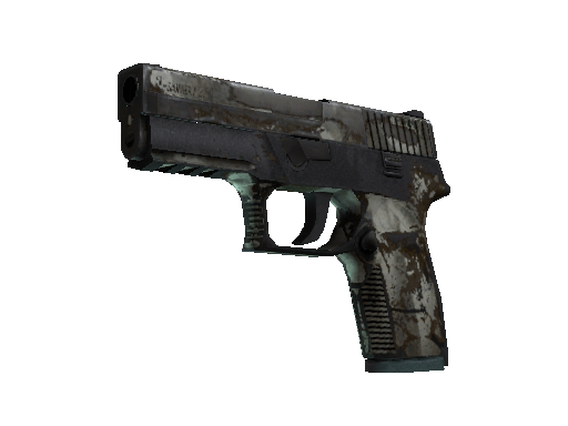 P250 | Cyber Shell (Field-Tested)