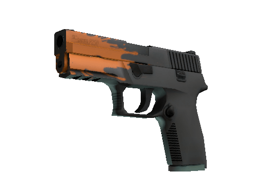 P250 | Cyber Shell (Field-Tested)